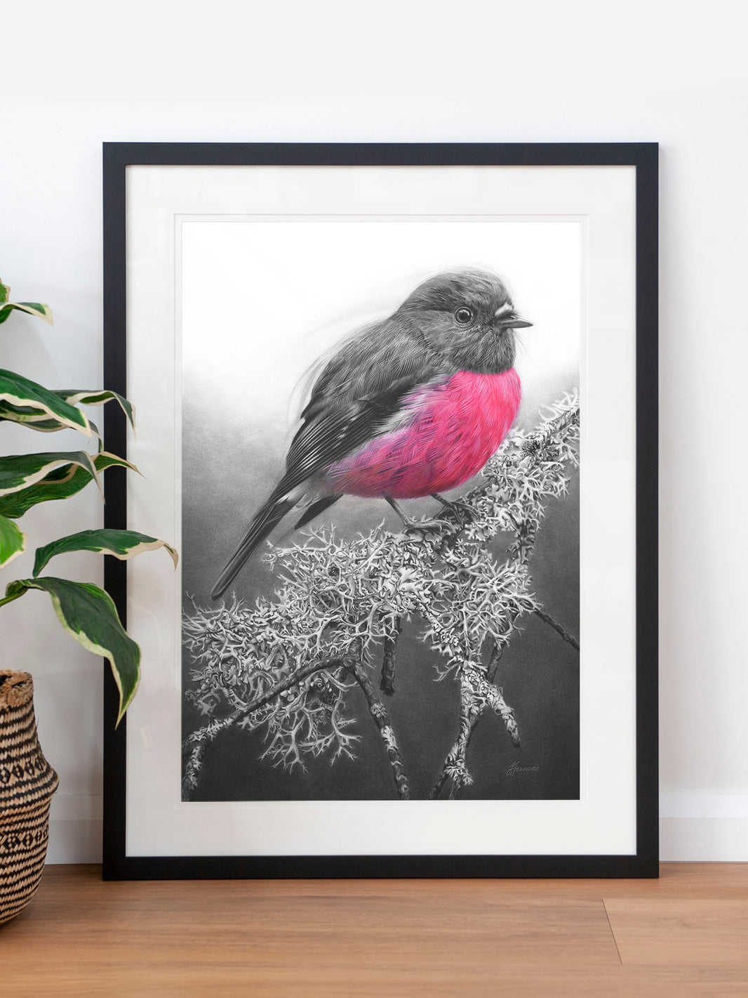 Wildlife Series – tagged "art prints" – Fiona Francois Art