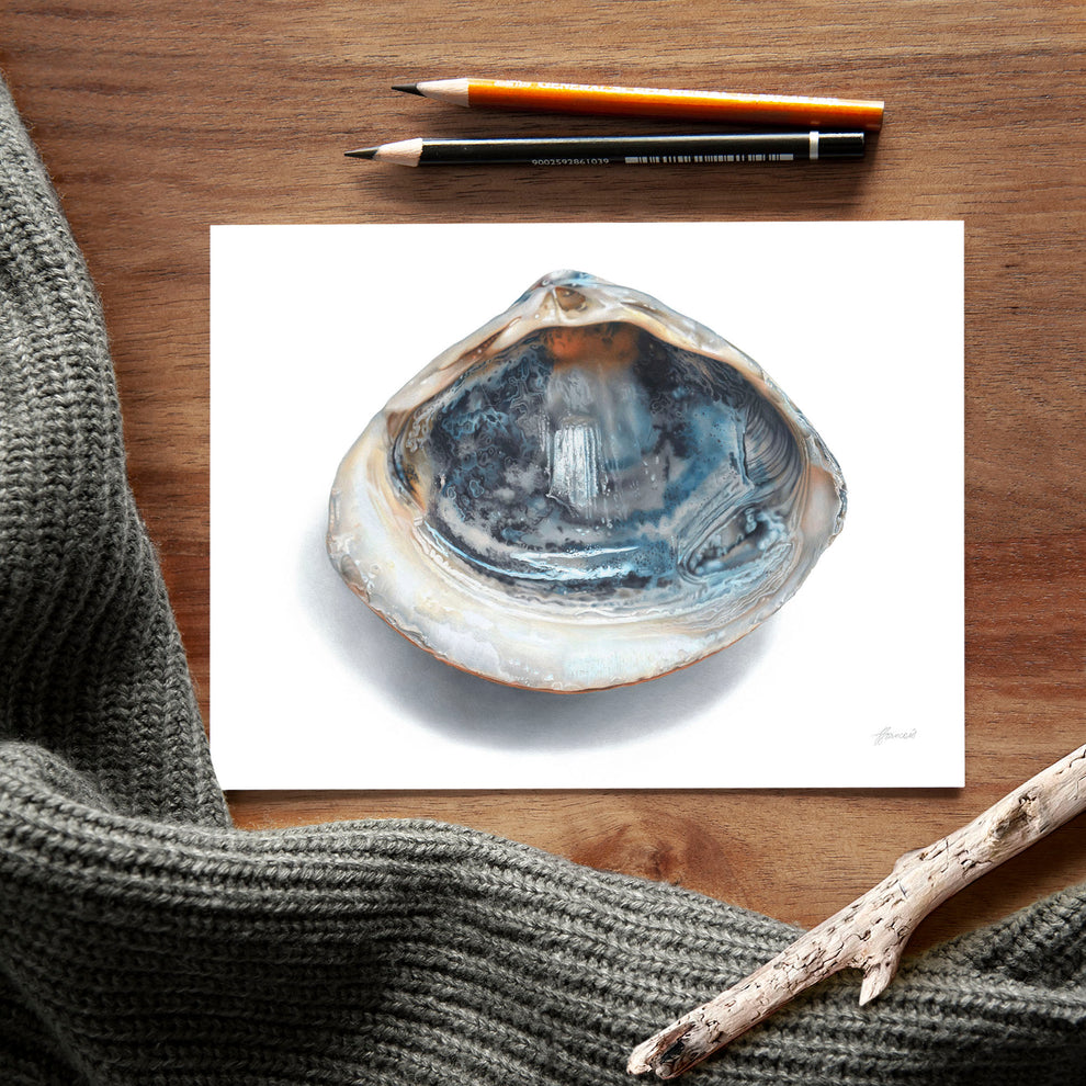 'Blue Shell' A5 art card – Fiona Francois Art