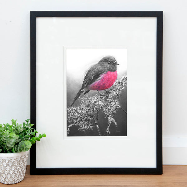 'Pink Robin' art print – Fiona Francois Art